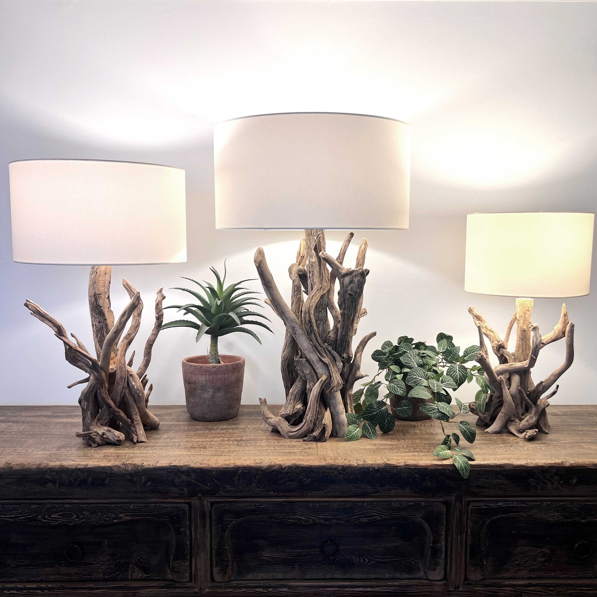 Large Branched Natural Driftwood Table Lamp PRE-ORDER – Doris Brixham
