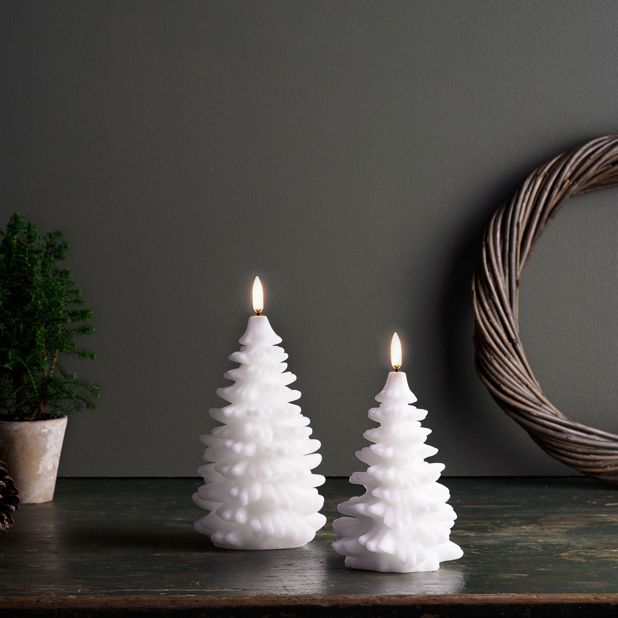 LED Nordic Tree Candle Small SOLD OUT – Doris Brixham