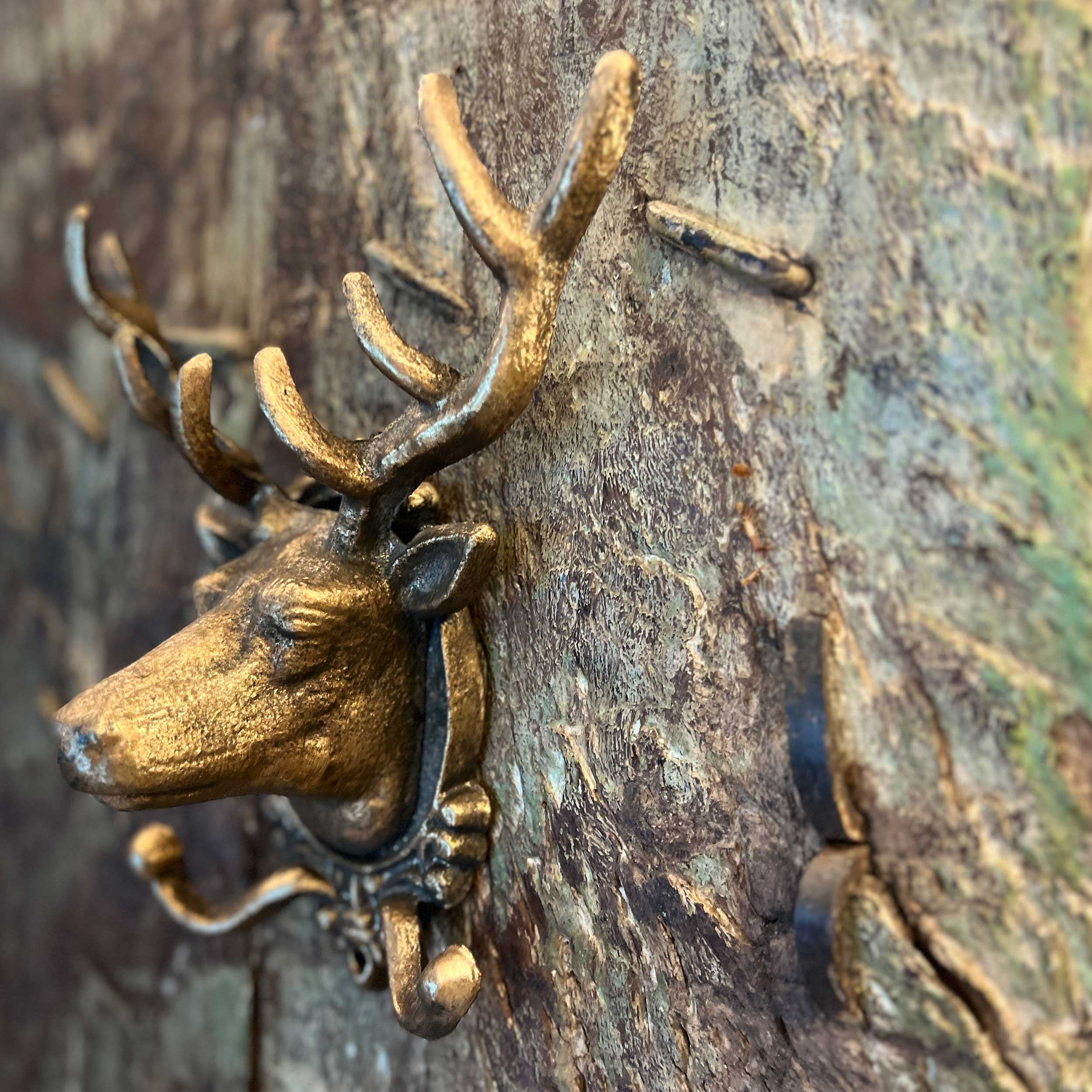 Cast Iron Large Stag Hook – Doris Brixham