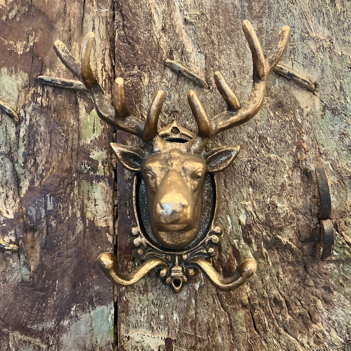 Cast Iron Large Stag Hook – Doris Brixham