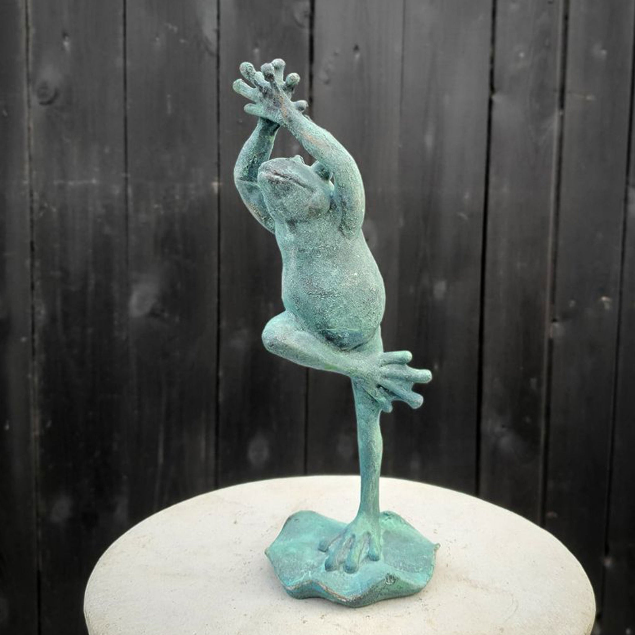 Yoga Cast Iron Verdigris Frog – Doris Brixham