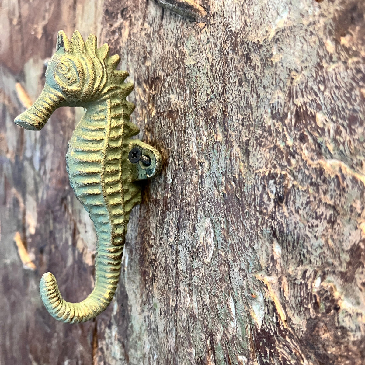 Cast Iron Seahorse Hook SOLD OUT – Doris Brixham