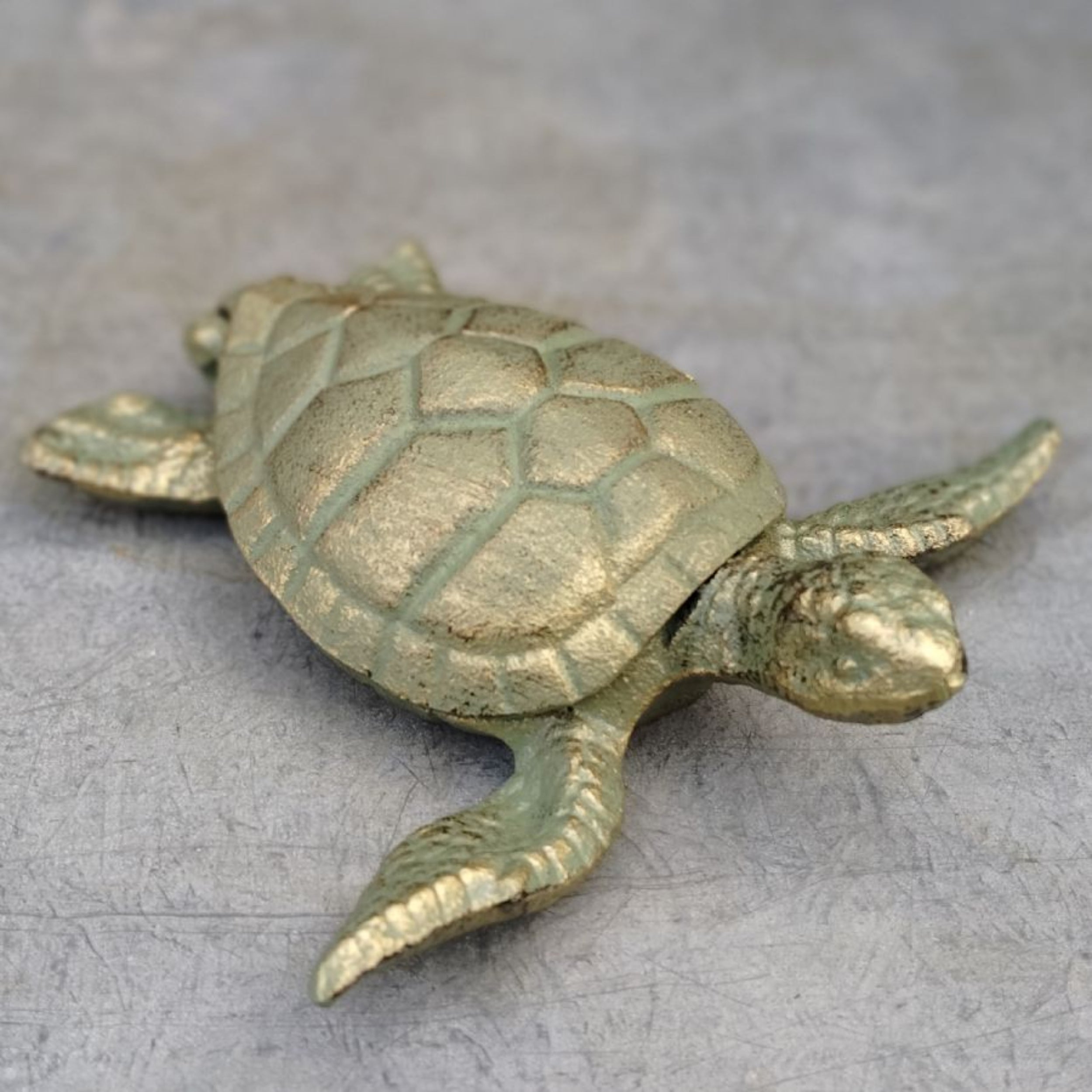Cast Iron Turtle Key Holder – Doris Brixham
