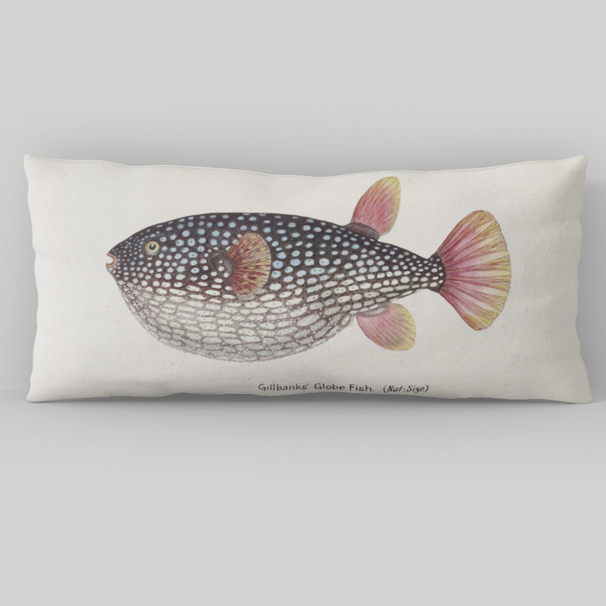 Blue Globe Fish Boutique Velvet Cushion – Doris Brixham