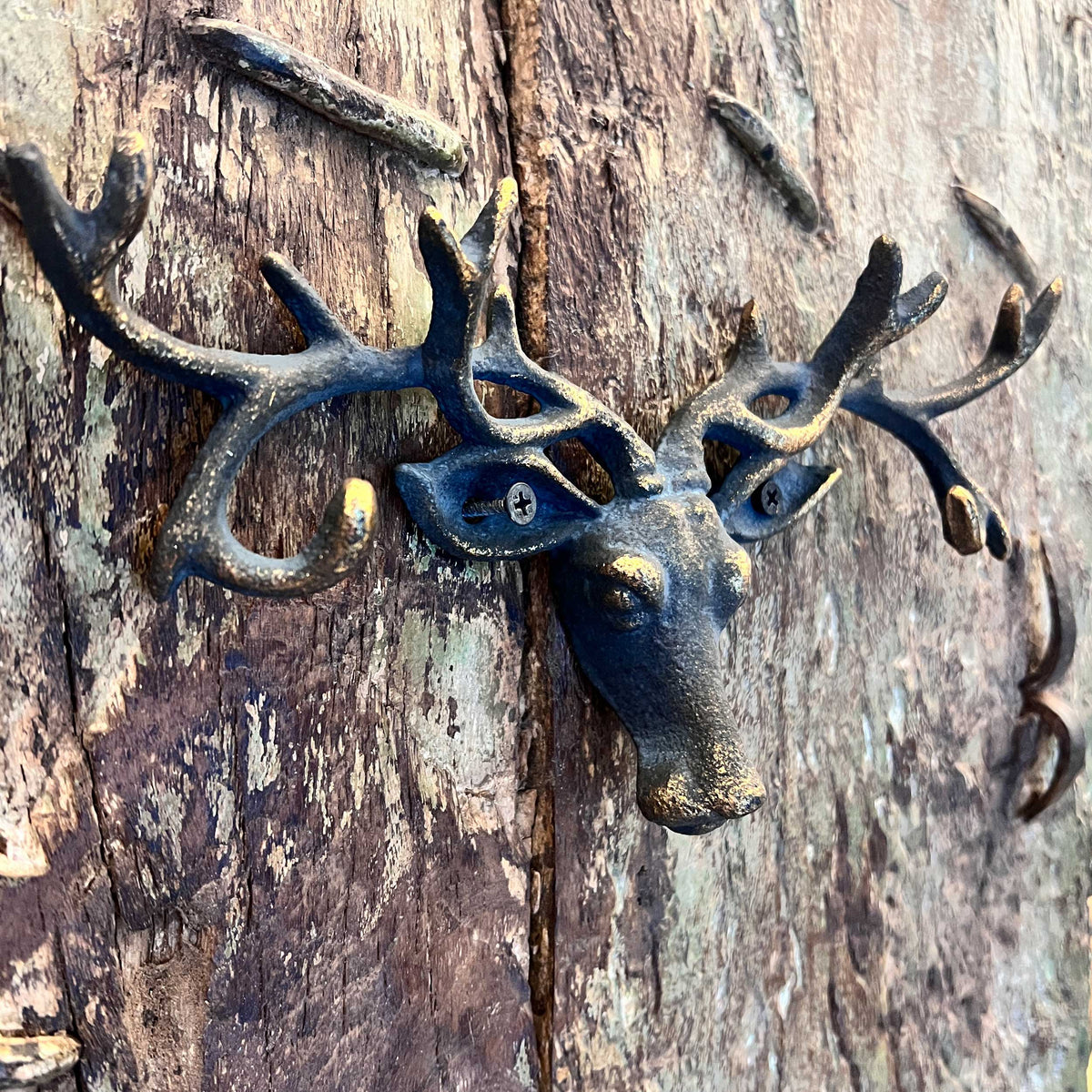 Cast Iron Long Antler Stag Hook – Doris Brixham