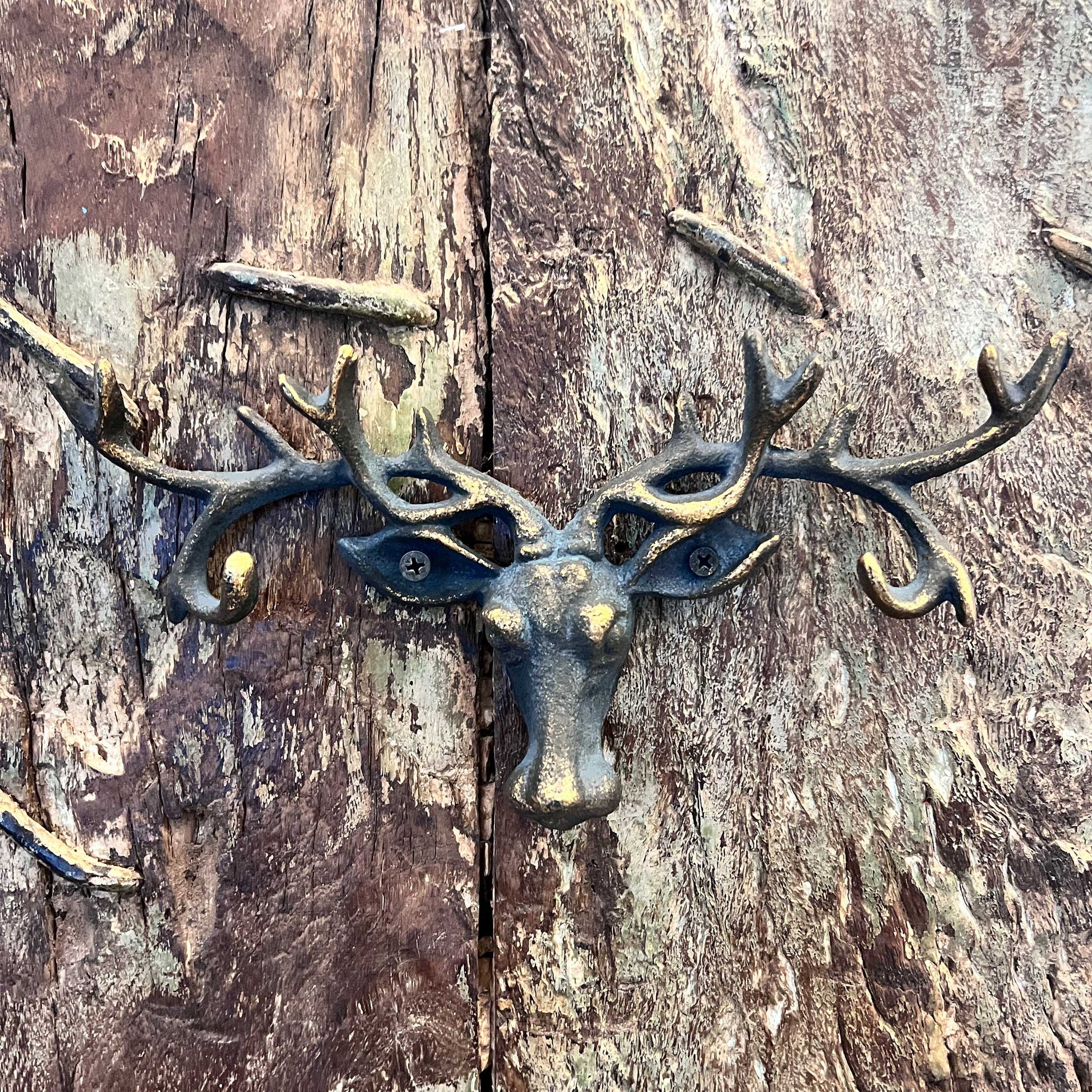 Cast Iron Long Antler Stag Hook – Doris Brixham