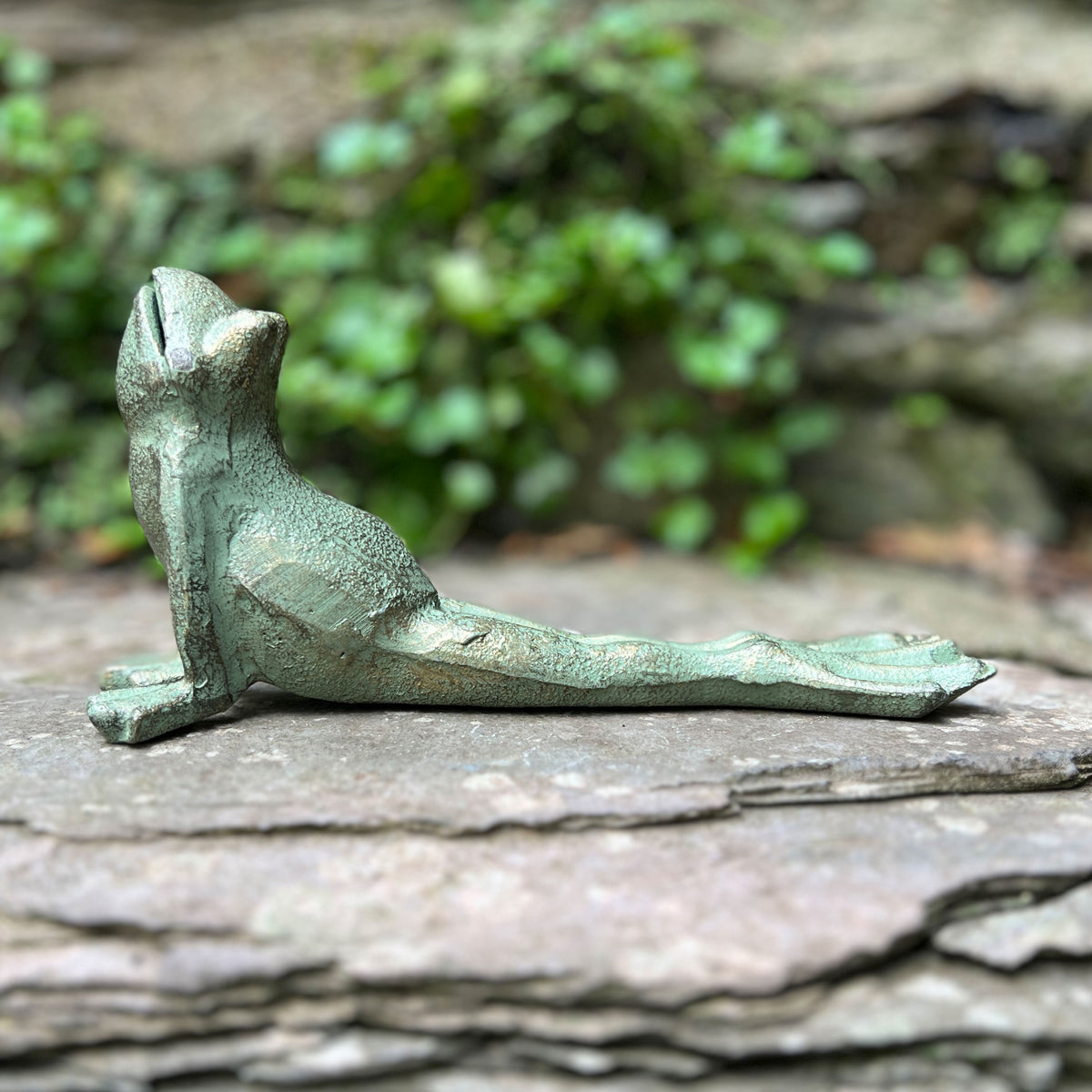 Yoga Cast Iron Frog – Doris Brixham