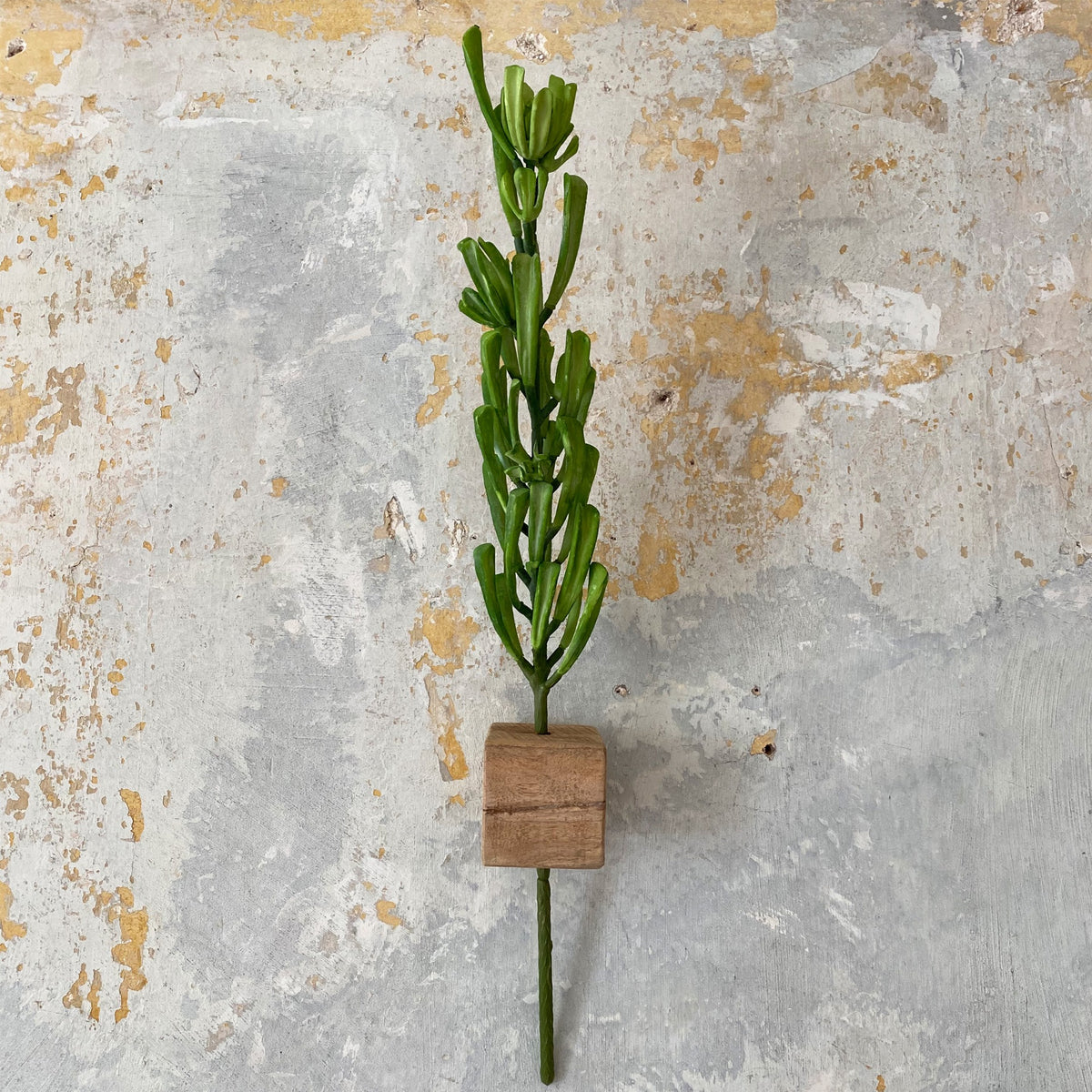 Faux Cactus Branch – Doris Brixham