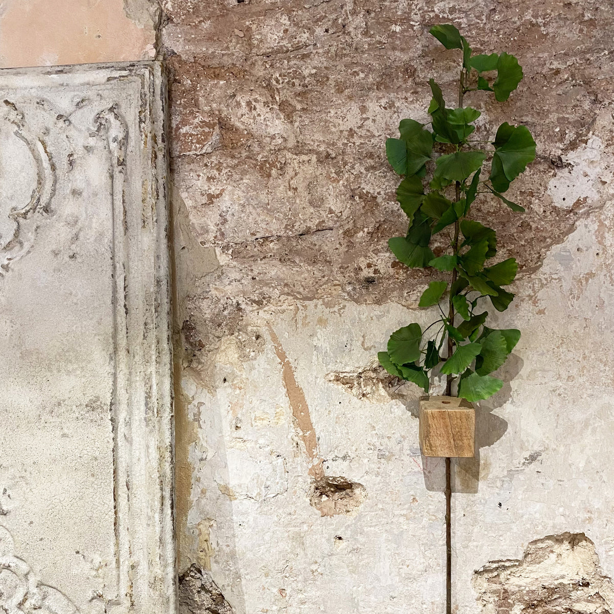 Faux Gingko Branch – Doris Brixham