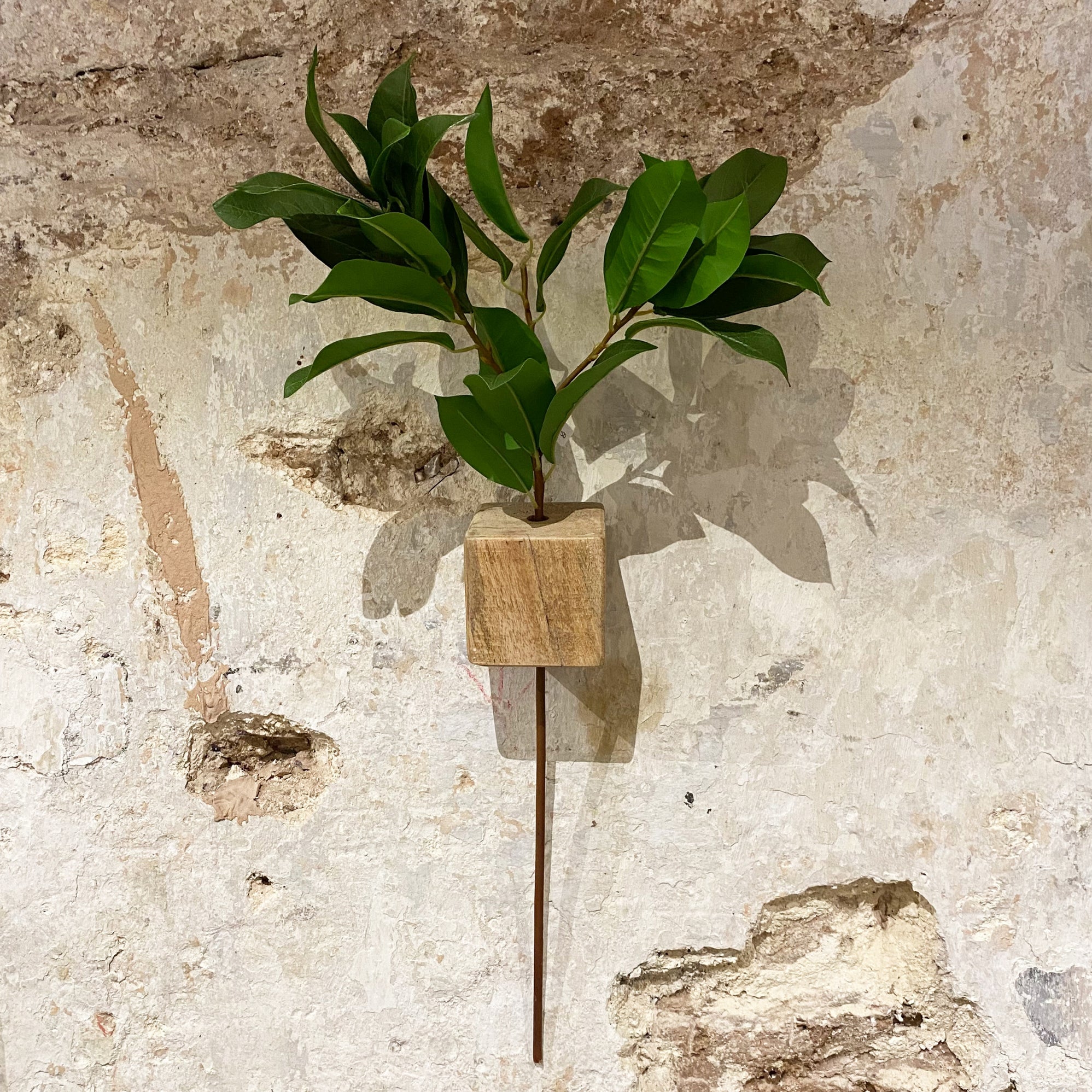 Faux Laurel Branch – Doris Brixham